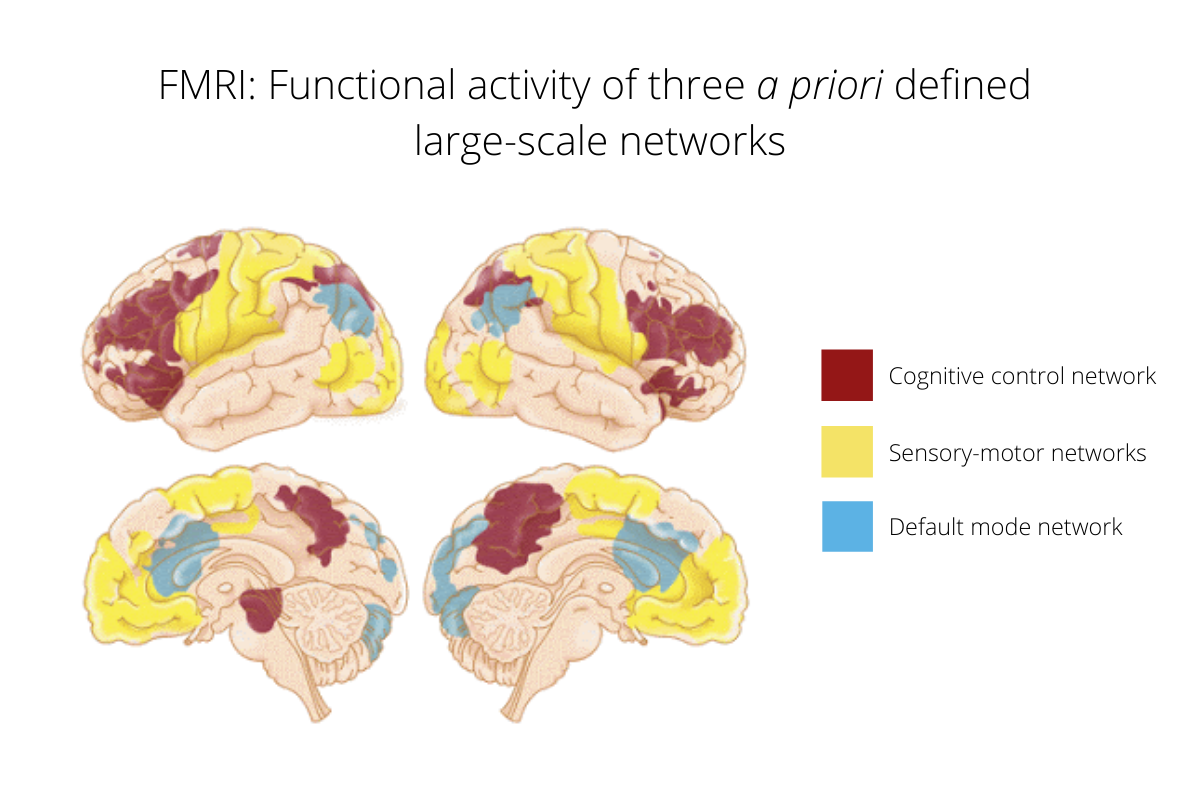 Psilocybin and the default mode network